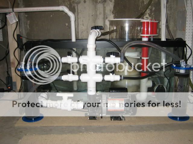 Help me with a manifold design | REEF2REEF Saltwater and Reef Aquarium ...